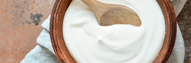 Immune System Boosting Foods - Back in Action