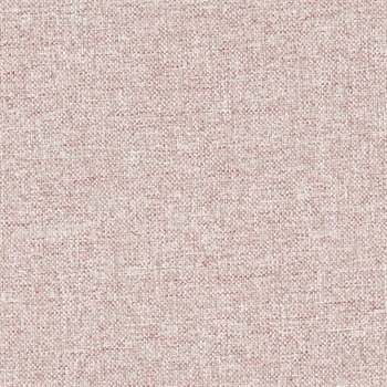 At Home - Back in Action