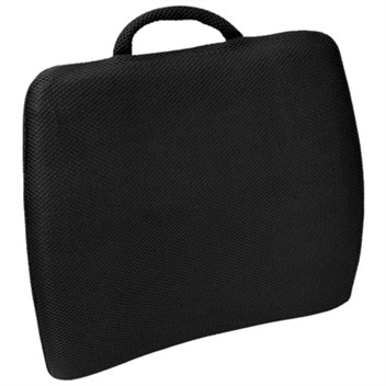 Lumbar Support Cushions - Back in Action