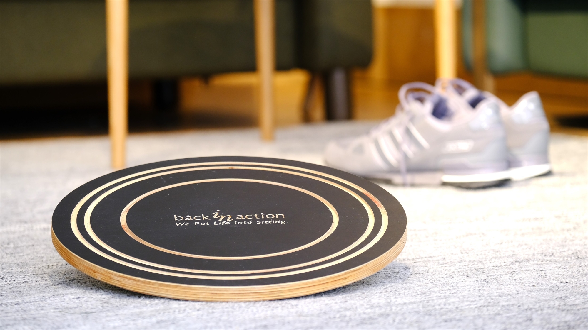 Balance Boards - Back in Action