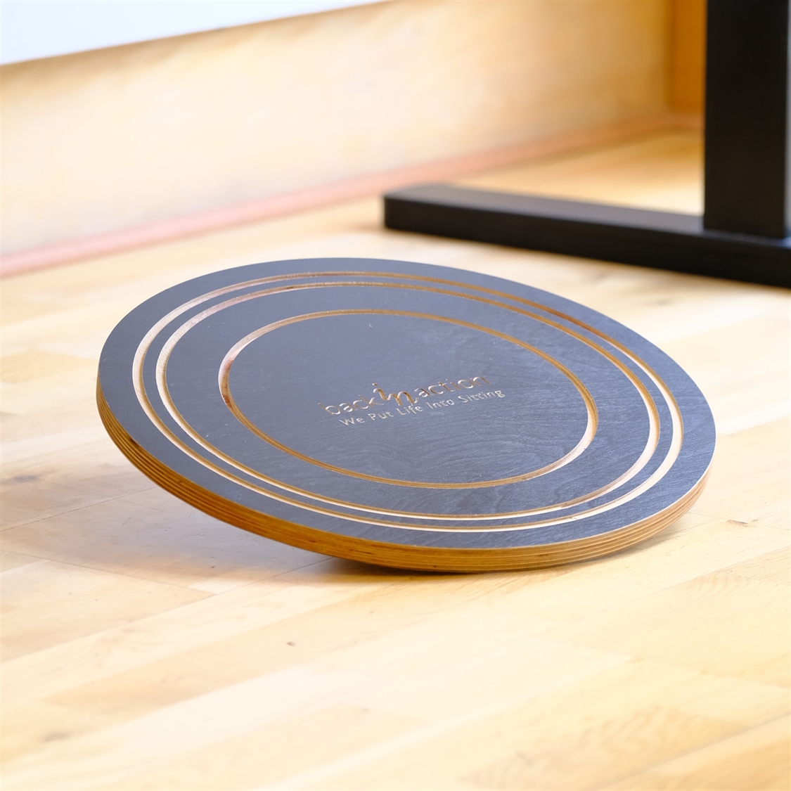 Balance Boards - Back in Action