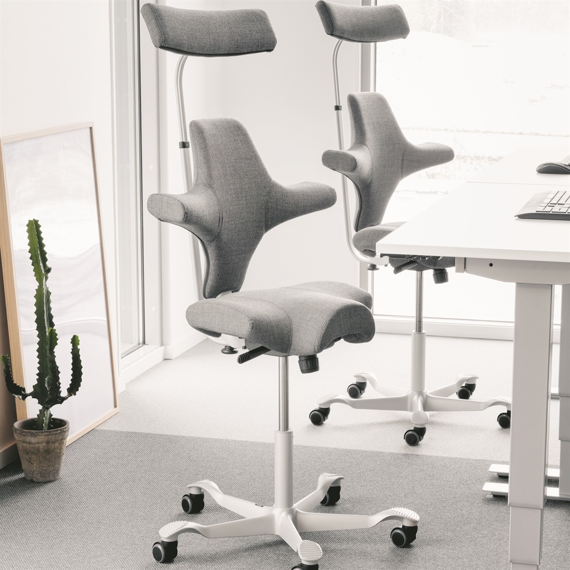 HAG Capisco 8107 - Back in Action