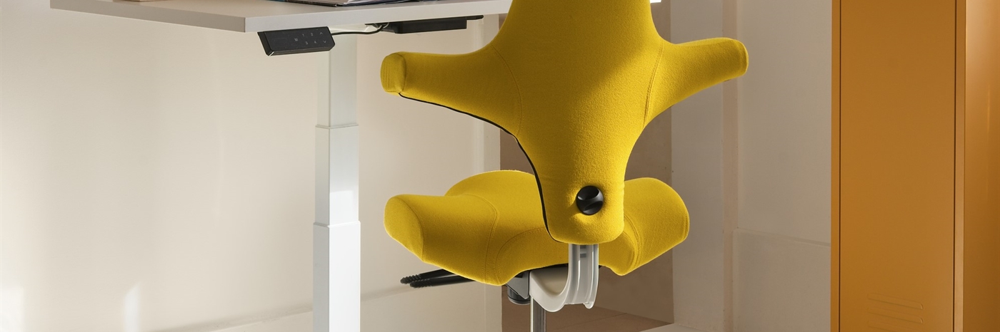 HAG Capisco 8106 8107 - Back in Action