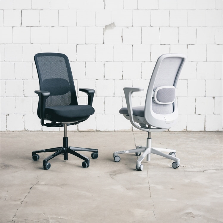 Advice Selecting a Chair - Back in Action