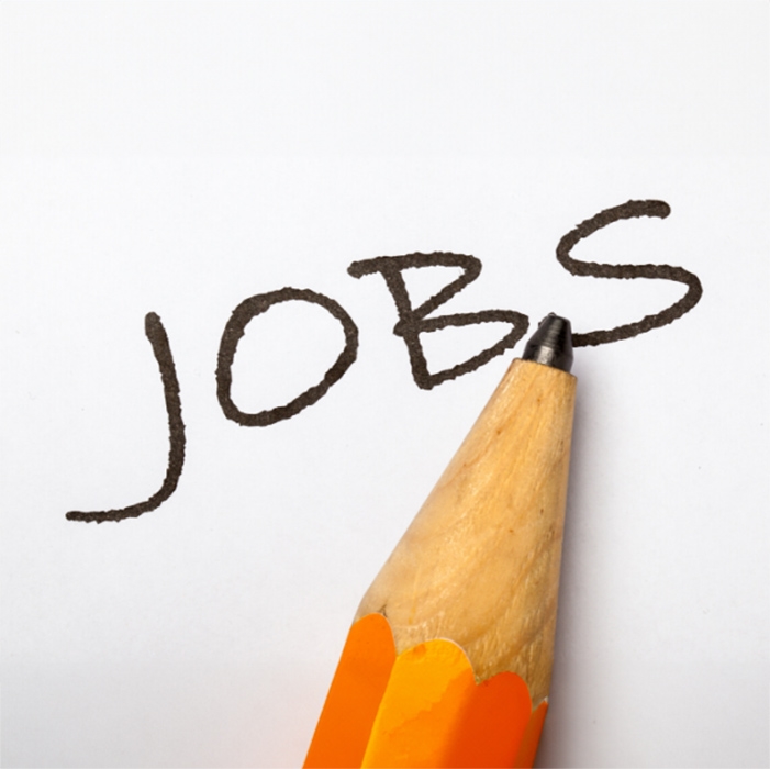 Job Opportunities - Back in Action