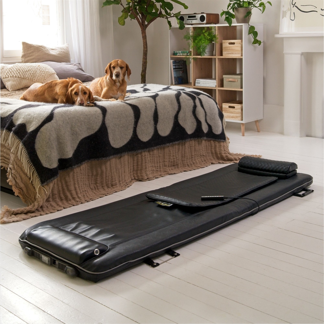 Buy The Mobiliser - Back in Action