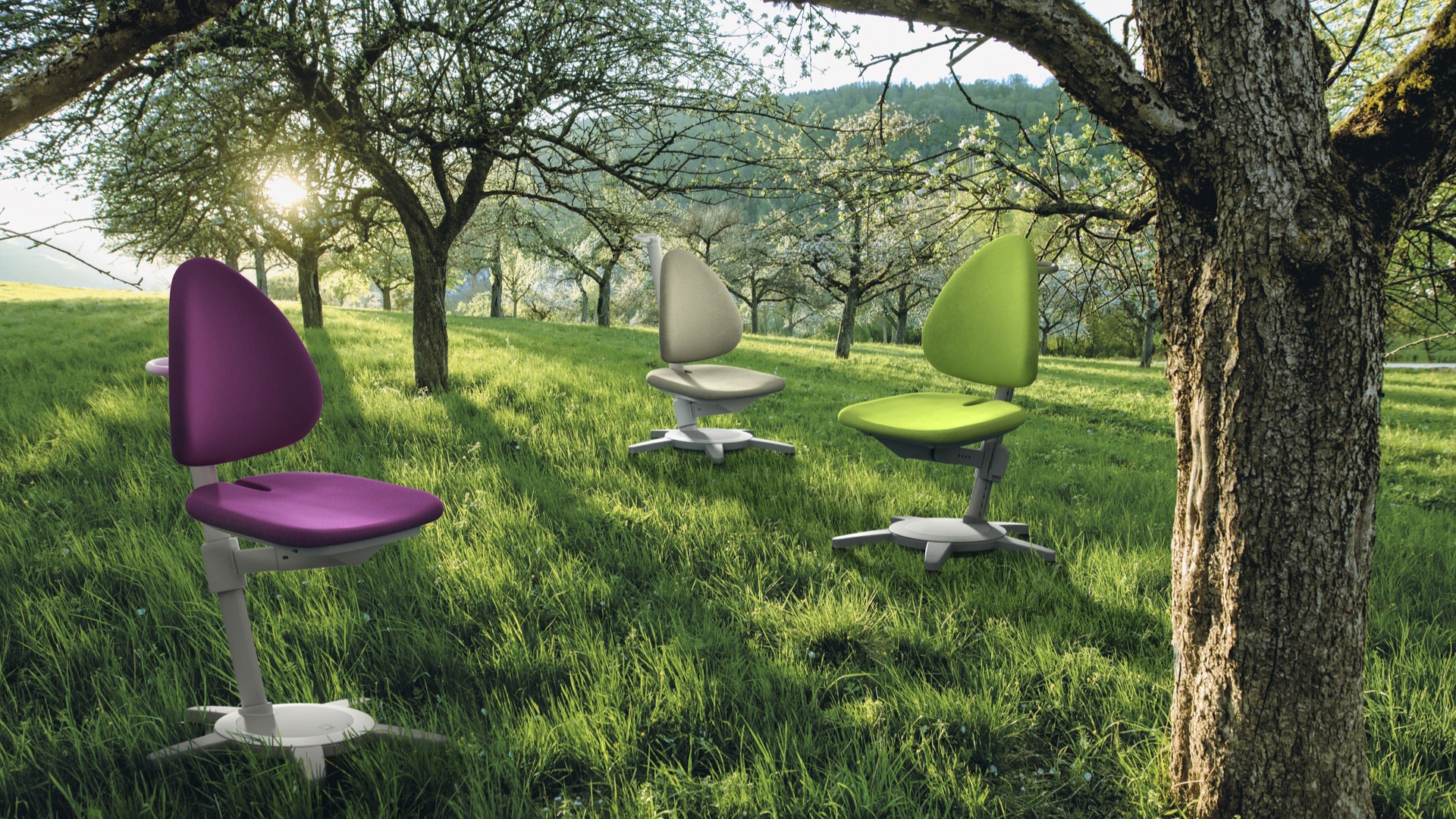 Moll Maximo Chair - Back in Action