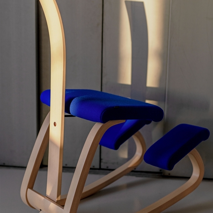 Varier Variable Back Rest In Stock - Back in Action