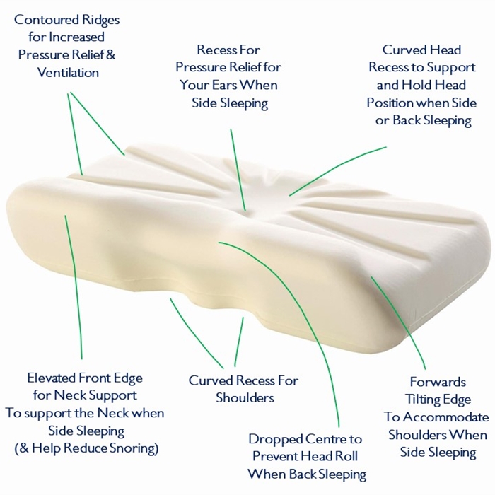Contoured Neck Pillows - Back in Action
