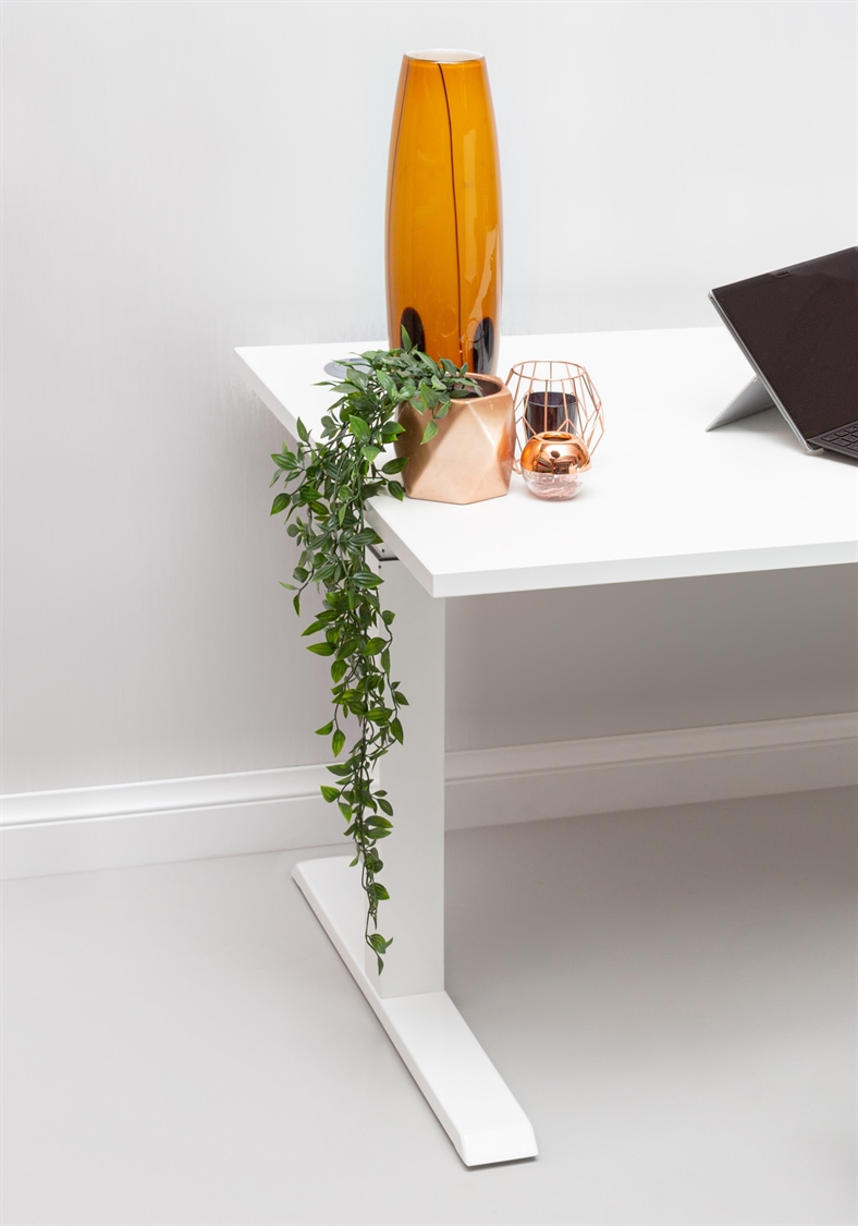 BIA Sit Stand Desks - Back in Action