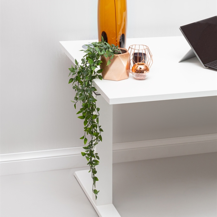 BIA Sit Stand Desks - Back in Action