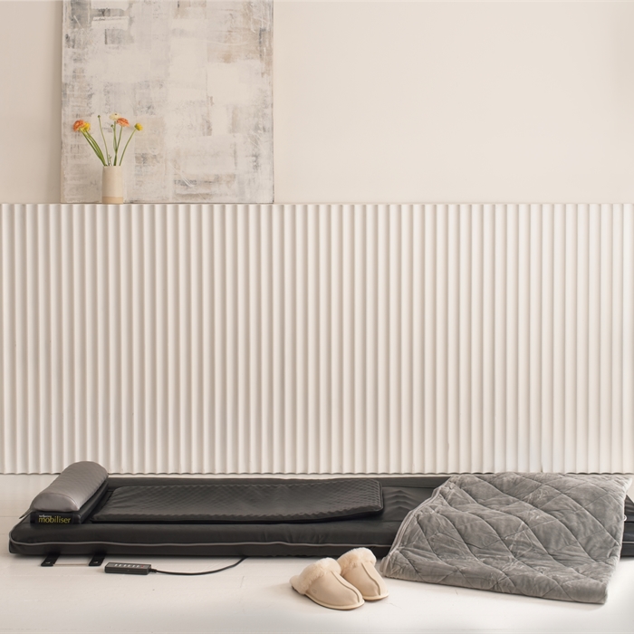 Buy The Mobiliser - Back in Action