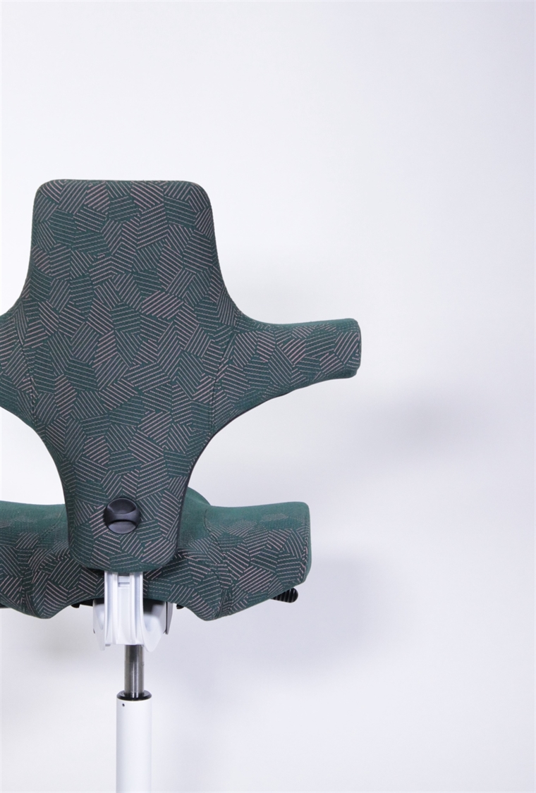 Capisco 8106 Special Edition - Back in Action