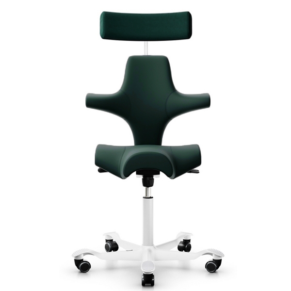 HAG Capisco 8107 - Back in Action