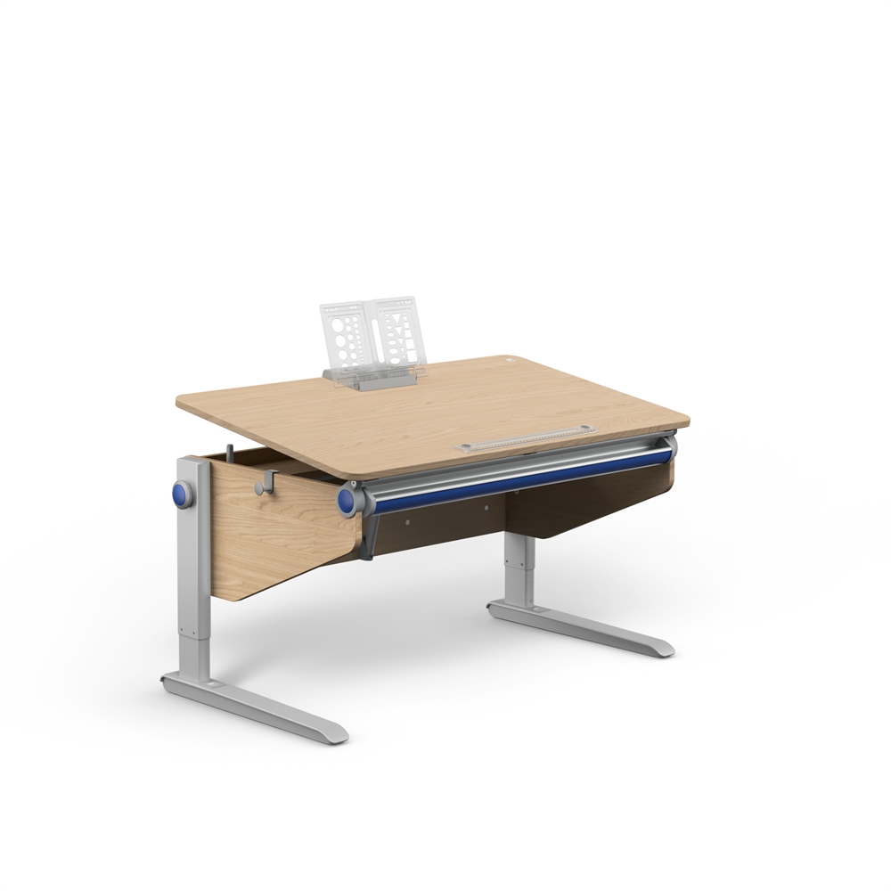 Moll Winner - Back in Action