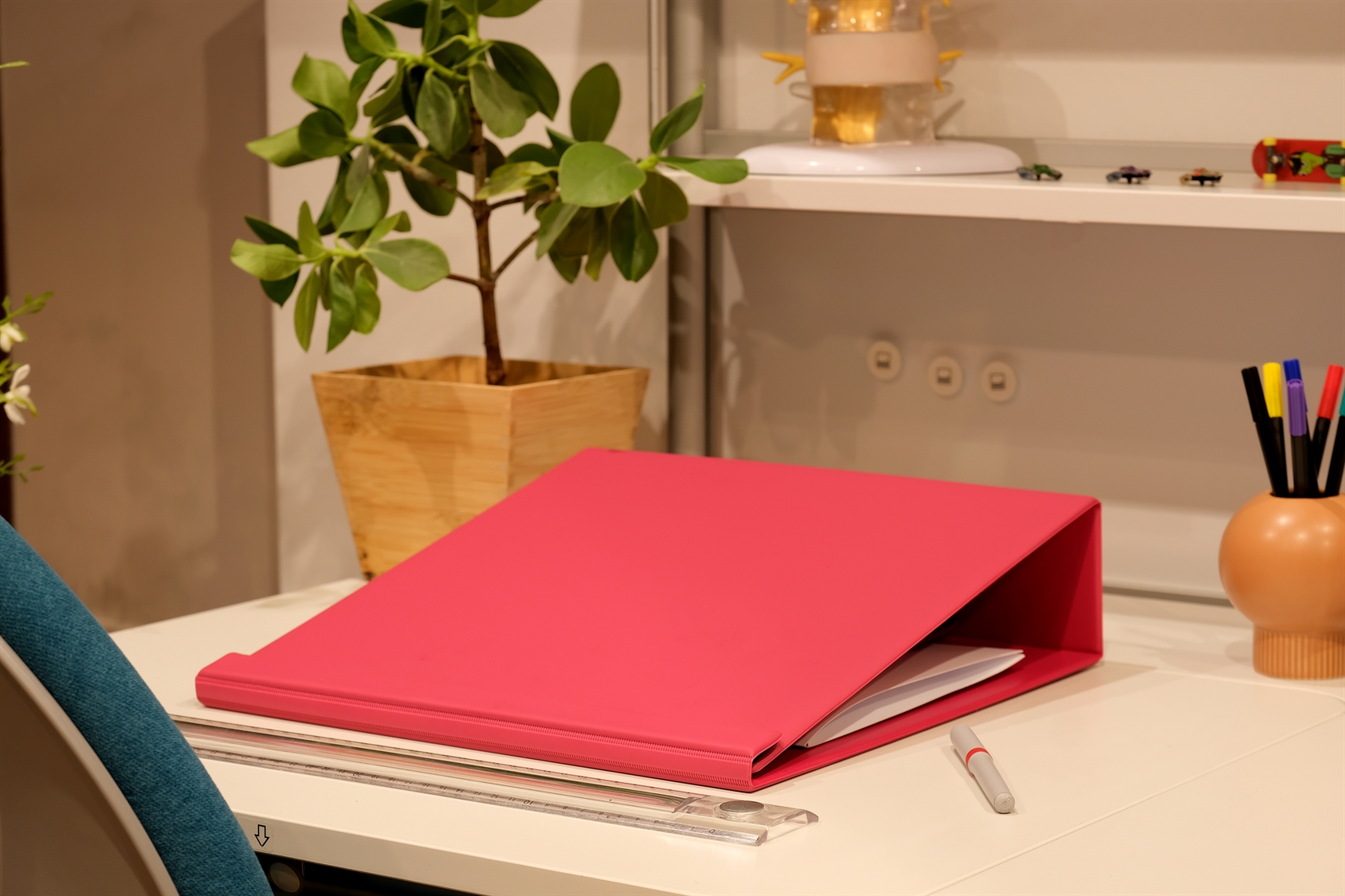 Posture Pack Complete - Back in Action