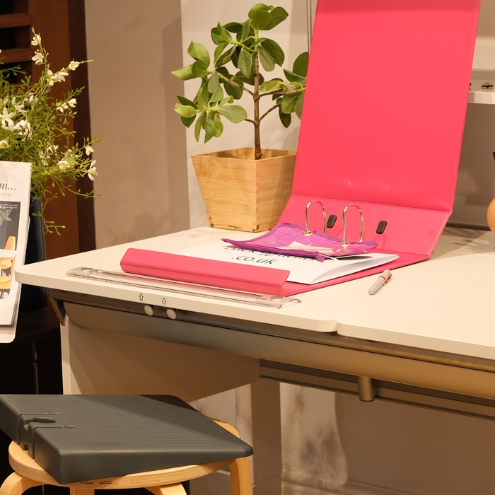 Posture Pack Complete - Back in Action