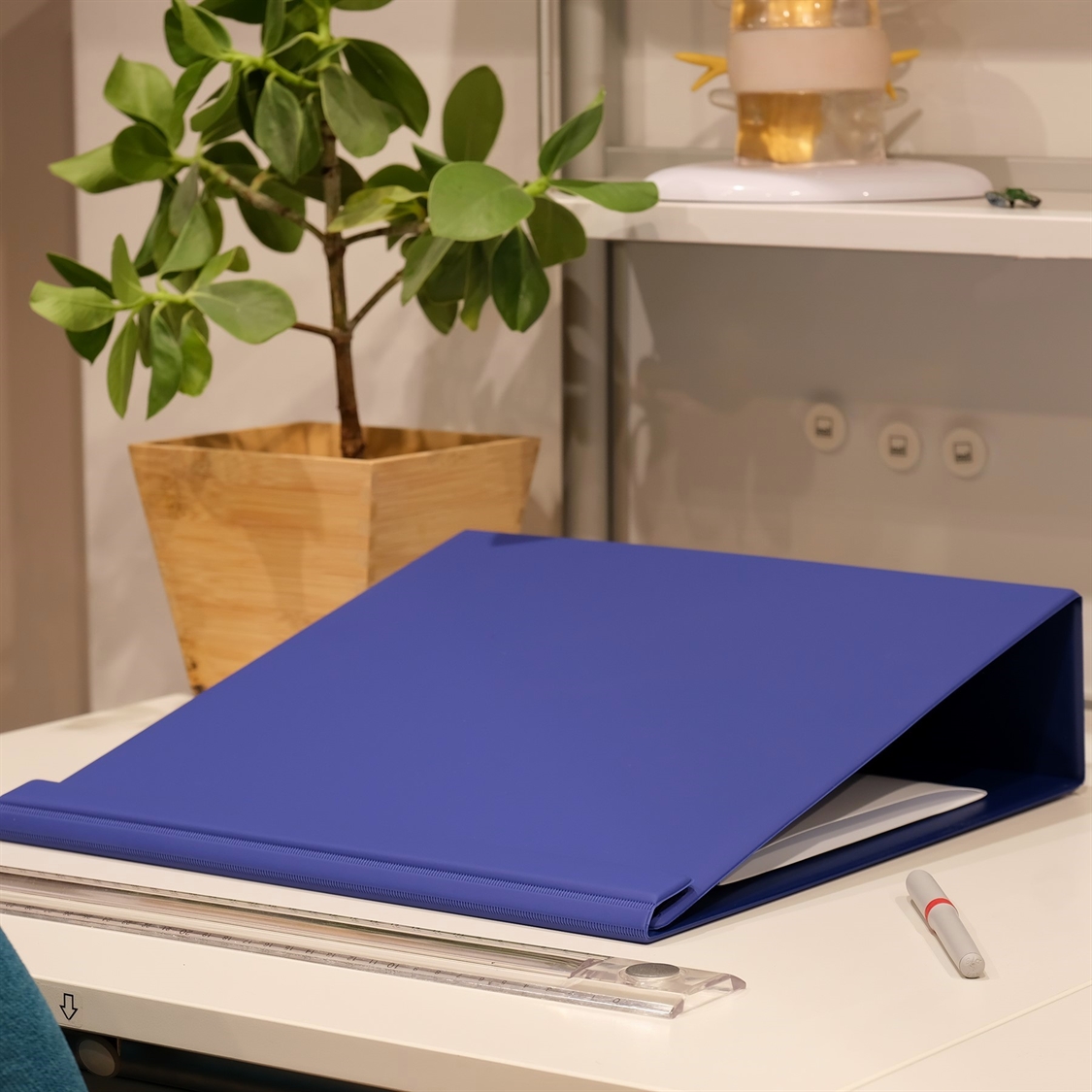 Posture Pack Complete - Back in Action