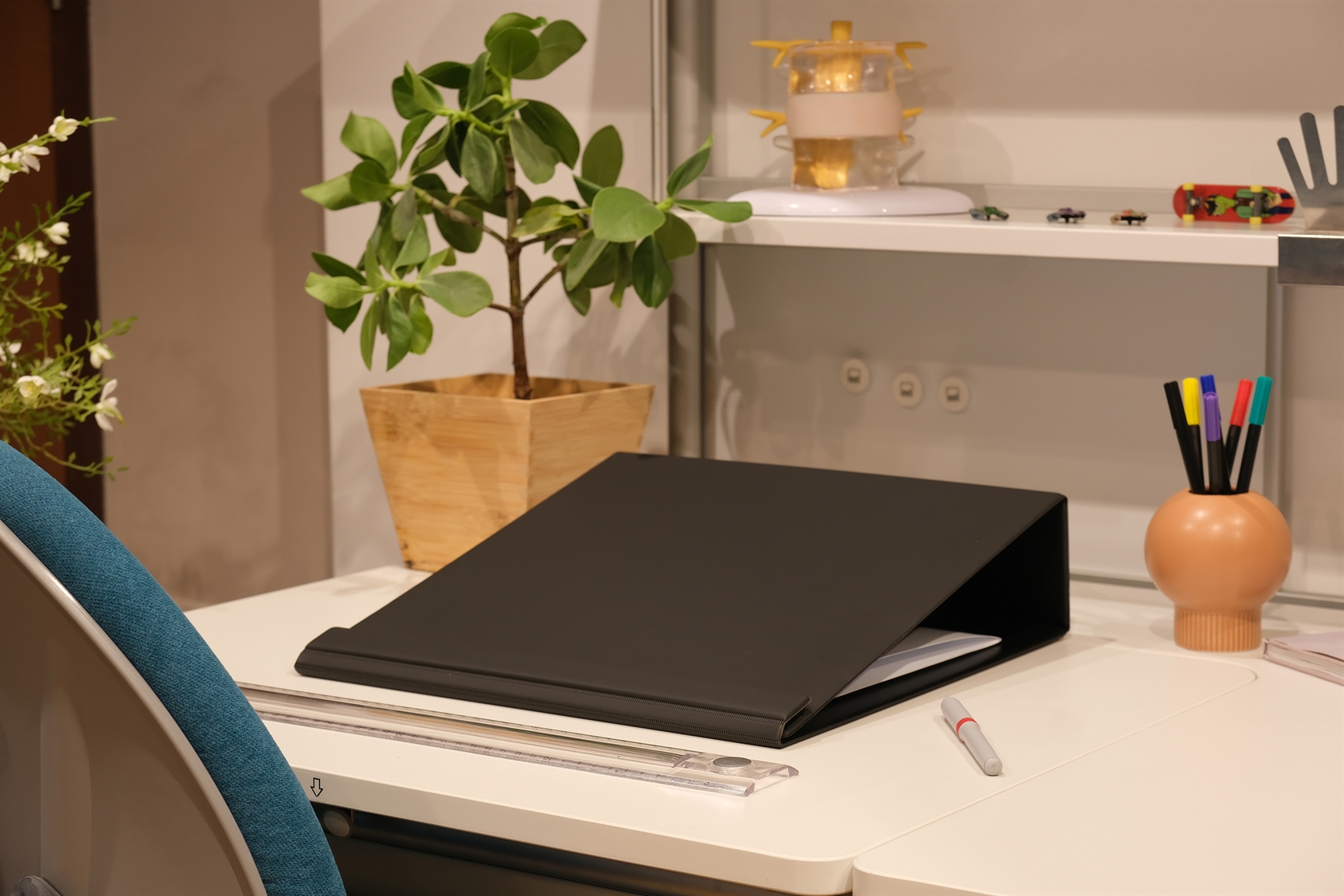 Posture Pack Bulk Purchase - Back in Action